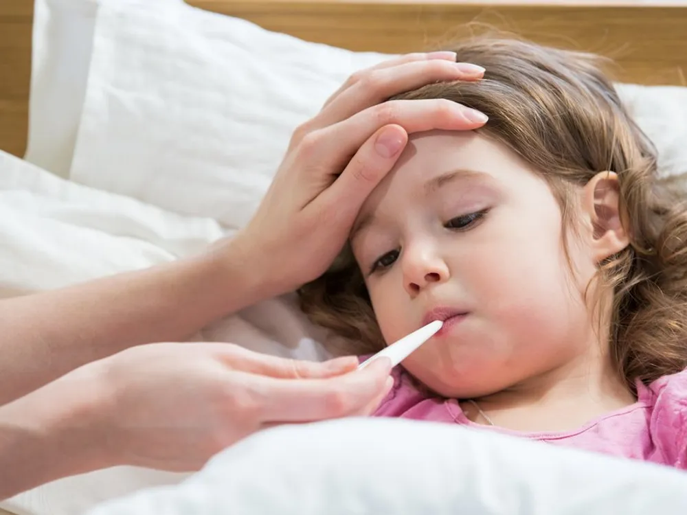 Domuz gribi nedir? Domuz gribi belirtileri ve tedavi yöntemi - Dosya Haber